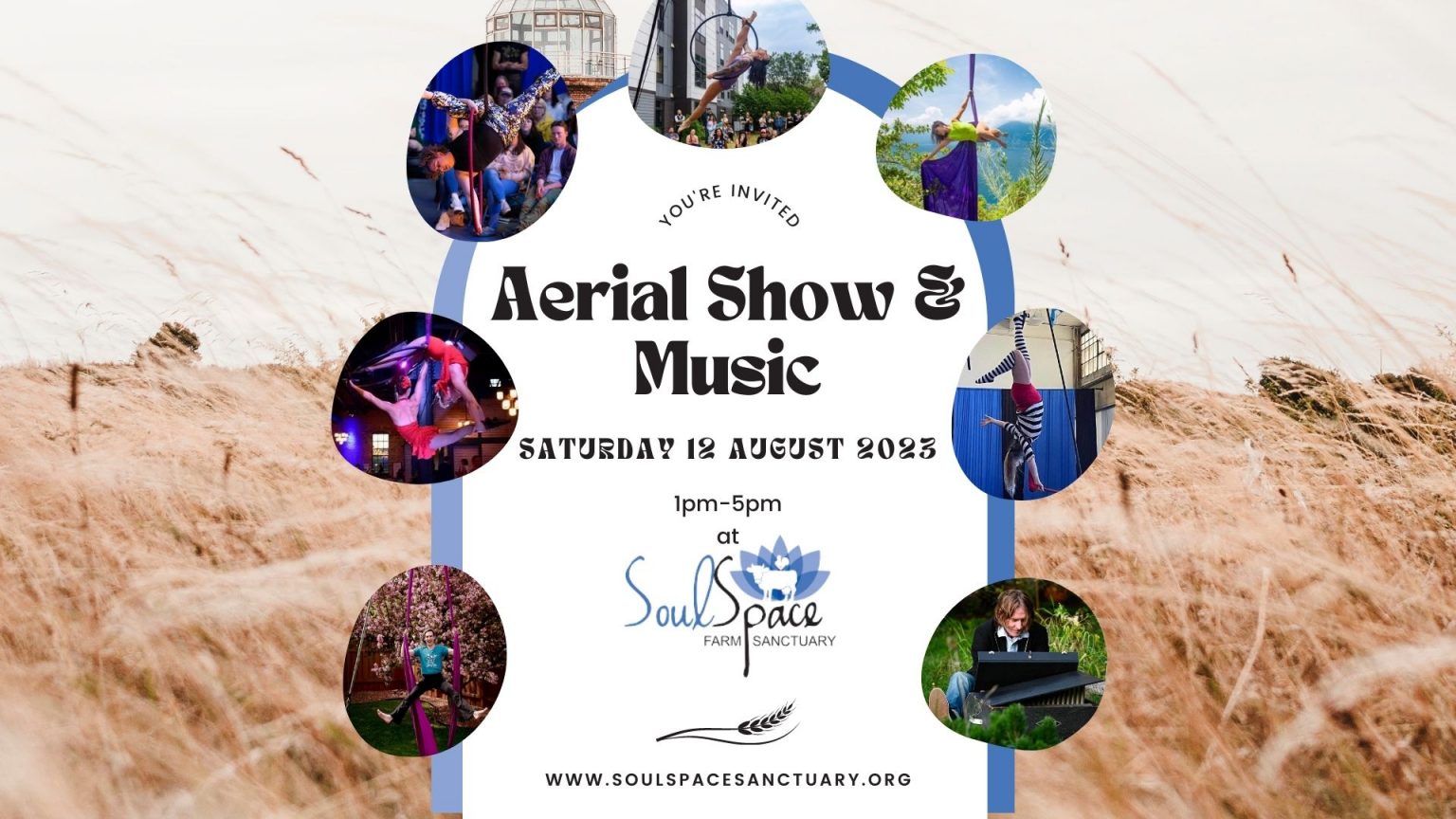 Aerial Show + Live Music
